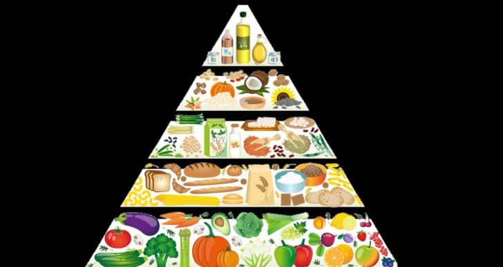 Piramida zdrave prehrane - važni principi u prehrani - Mr.Sc
