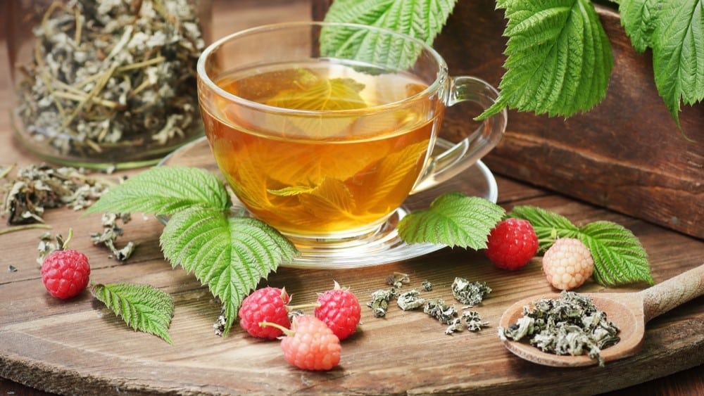 Trojanski rat – borba koja je trajala 10 godina - Mr.Sc